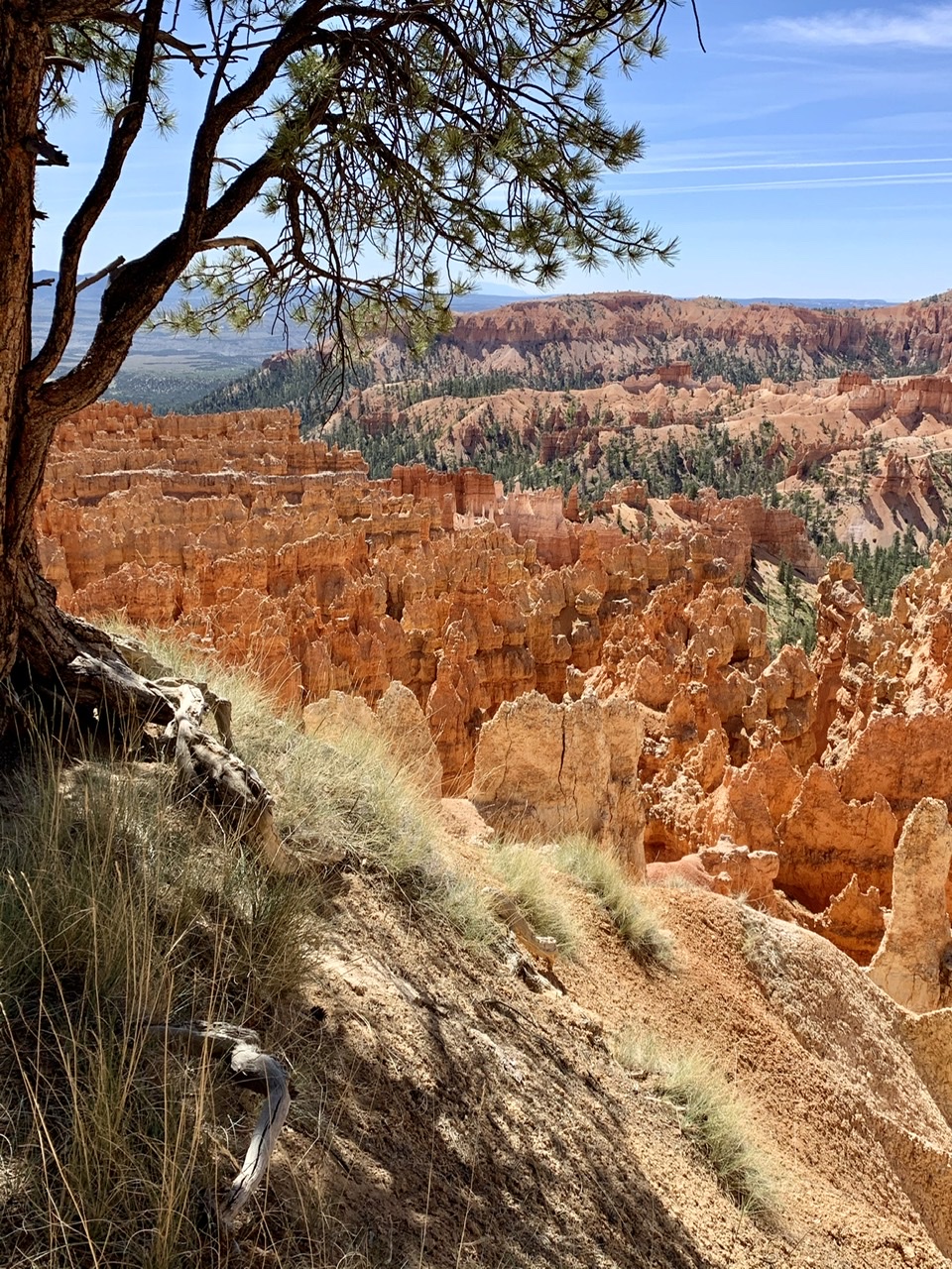 A Weekend Exploring Bryce Canyon National Park