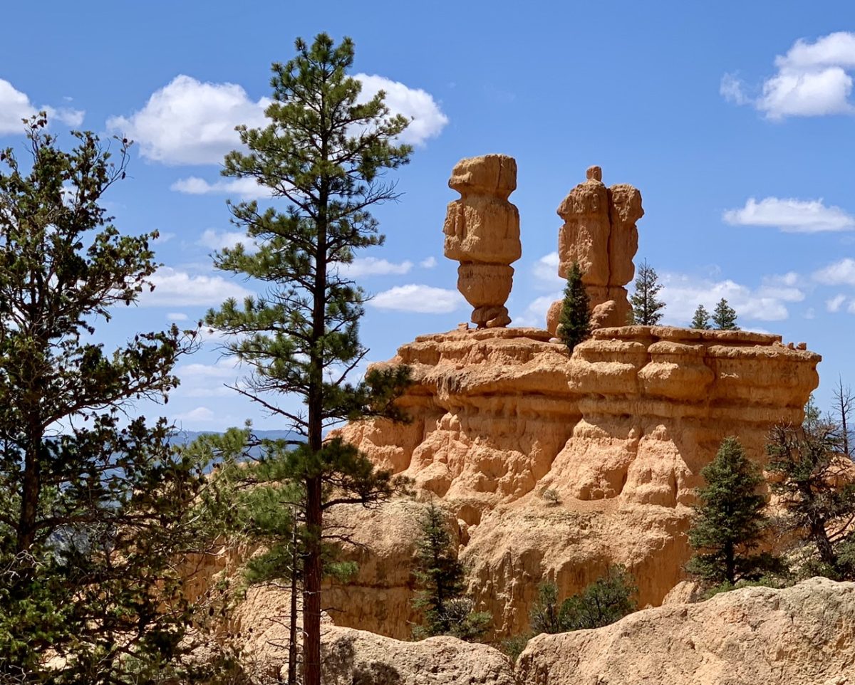 Hiking in Utah's Red Canyon - A Quiet Alternative to Bryce