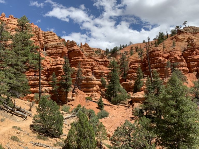 Hiking in Utah's Red Canyon - A Quiet Alternative to Bryce